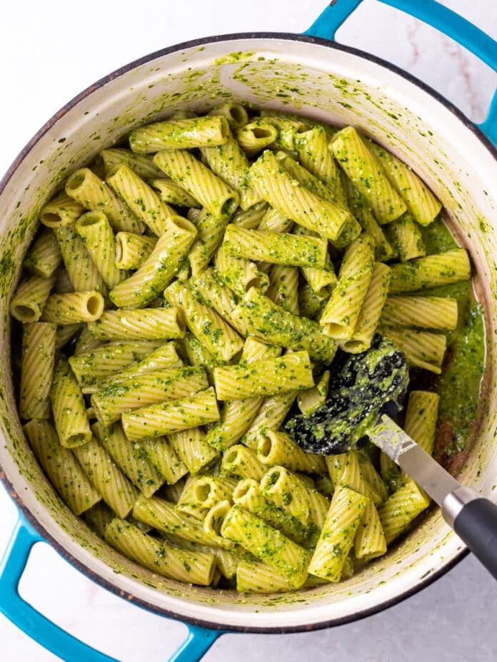 Pesto Rigatoni with Burst Tomatoes and Burrata Cheese